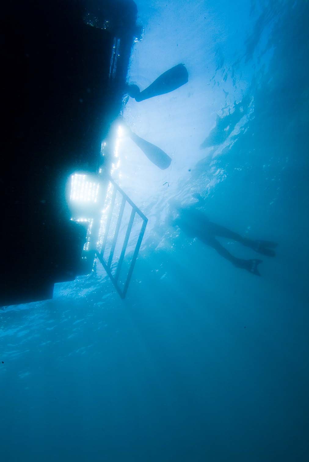 Benwood Wreck - Shipwreck Dive & Snorkeling Tours in Key Largo