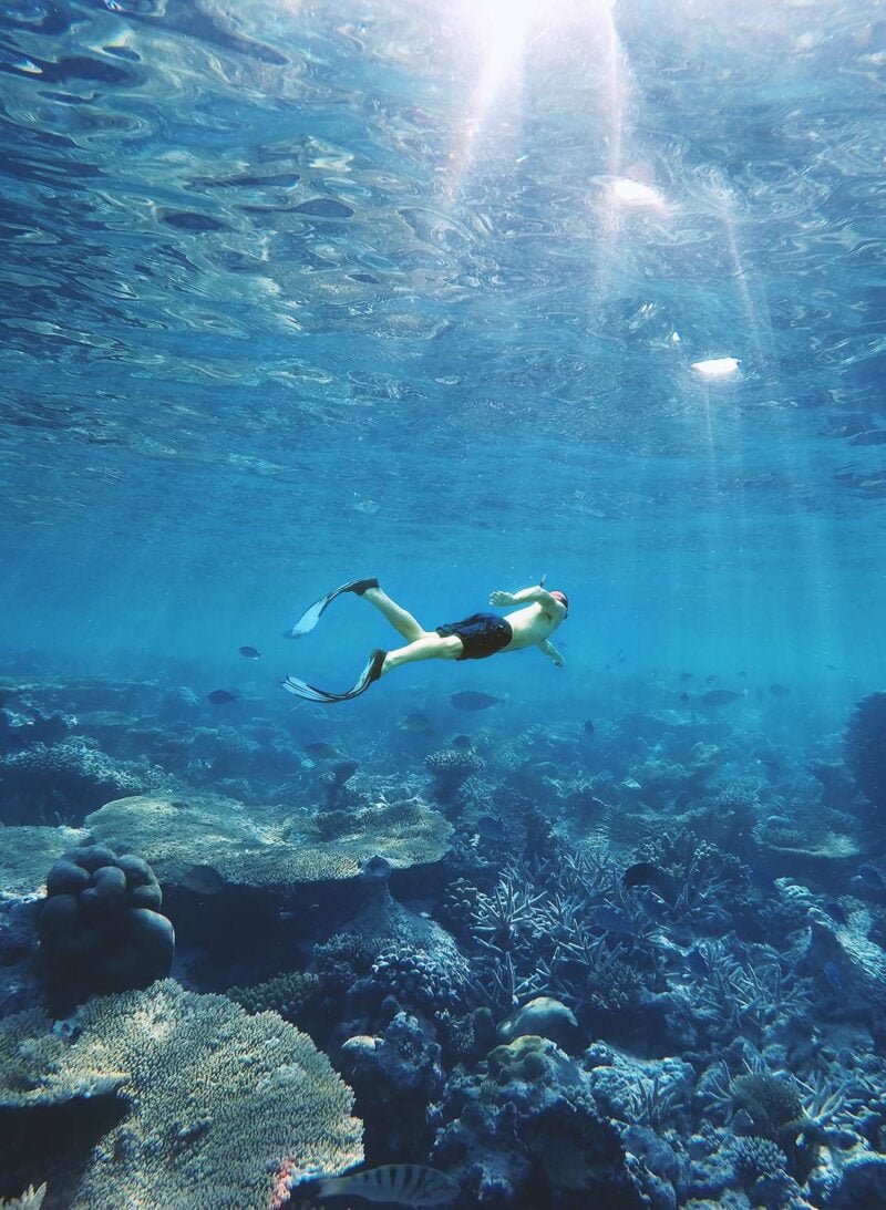 Key Largo Scuba Diving | Discover the Best Scuba Diving in Florida