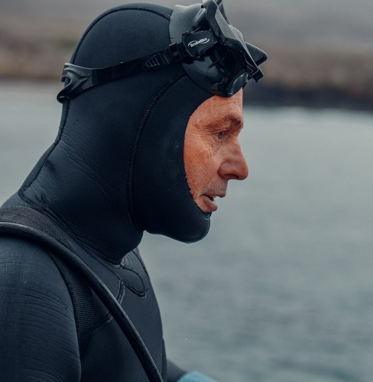 What Kind Of Wetsuit Should I Wear For Scuba Diving in Key Largo ...