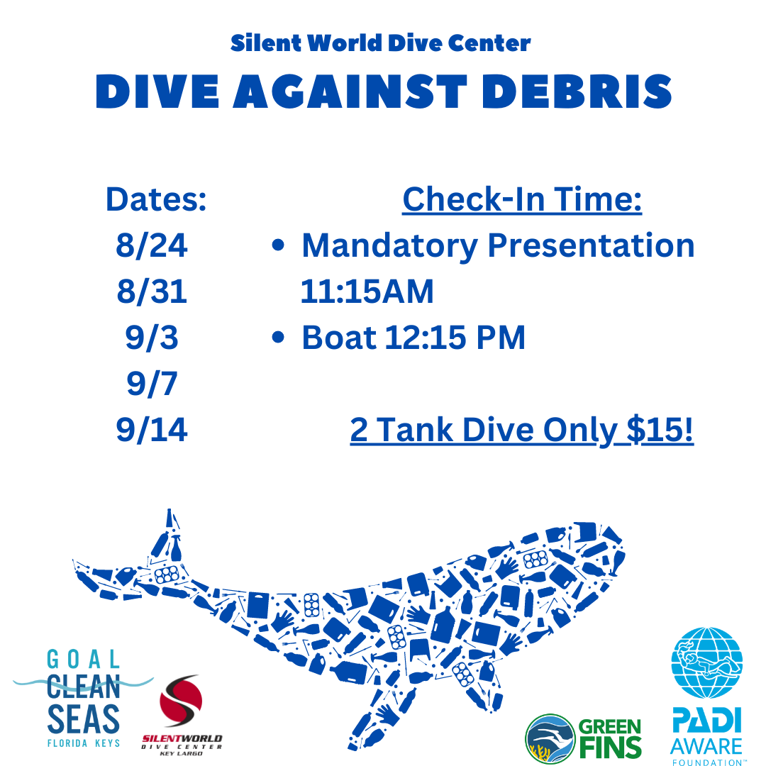 Key Largo Dive Shop | Florida Keys Diving with Silent World Dive Center