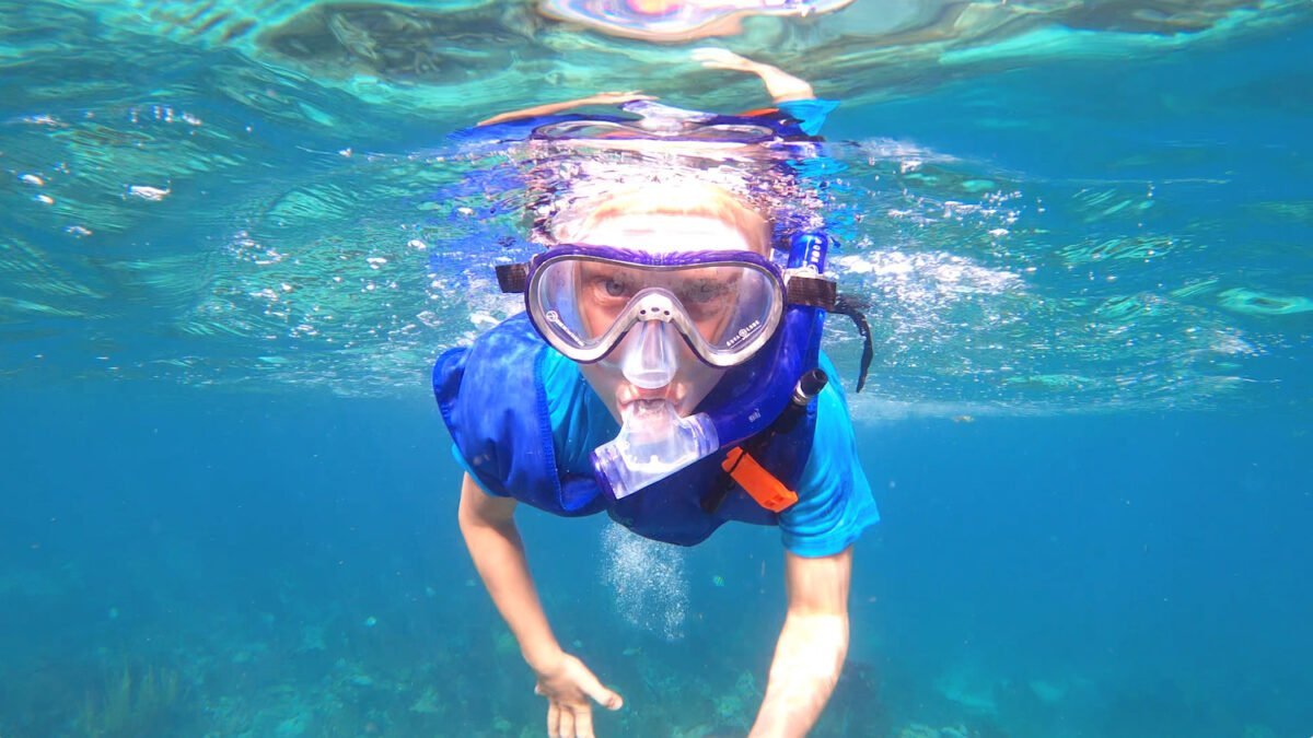 Premium Snorkeling Masks: Enhance Your Coral Reef Experience