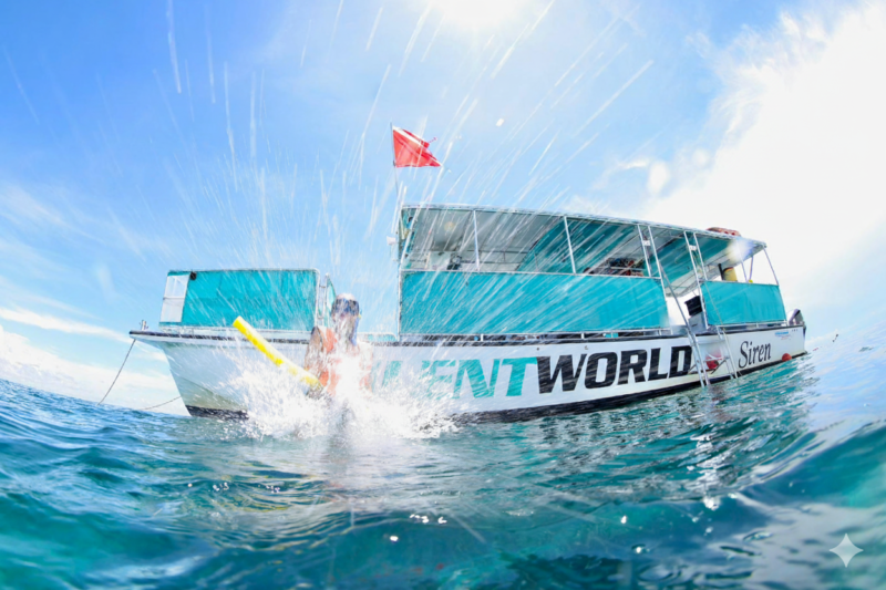 Why Snorkel Only Tours Are the Best Way to Snorkel Key Largo